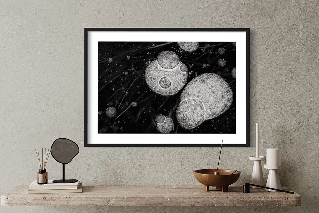 Recent Work — James Rodewald Photography