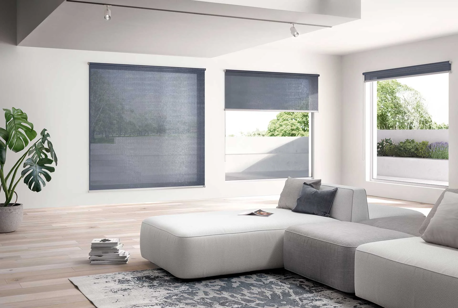 Tende A Rullo Su Misura — FABBI