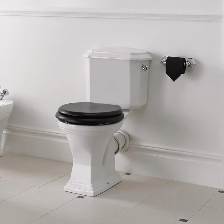 Close Coupled Toilets & Bidets | Waterloo Bathrooms