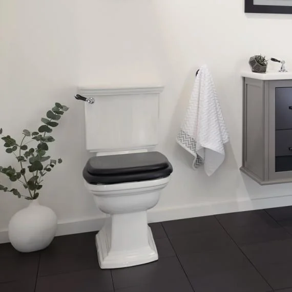Traditional Toilets & Bidets | Waterloo Bathrooms