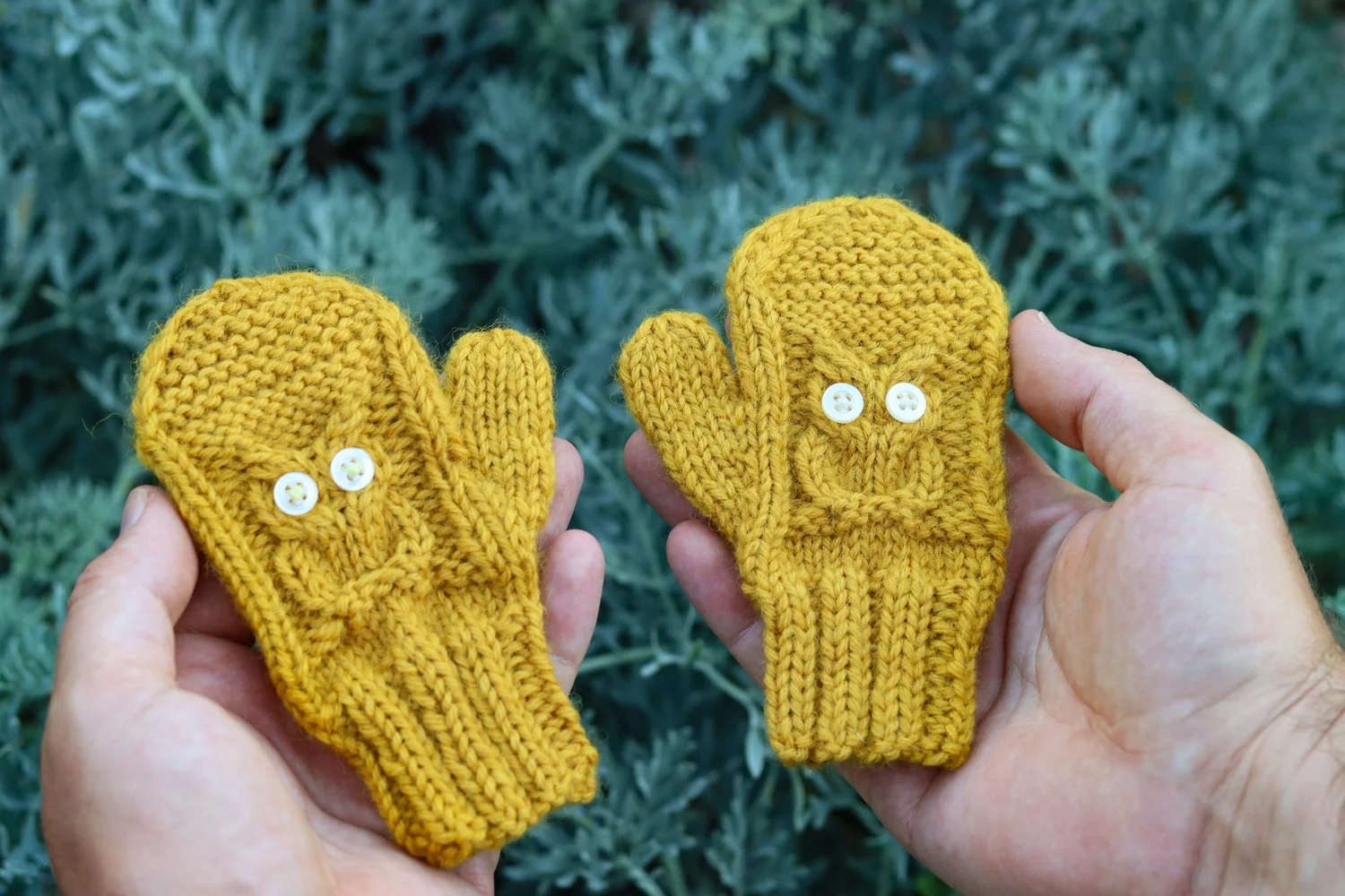 Safflower Soirée: A Guide to Growing, Dyeing, and Seed Saving — Grand ...