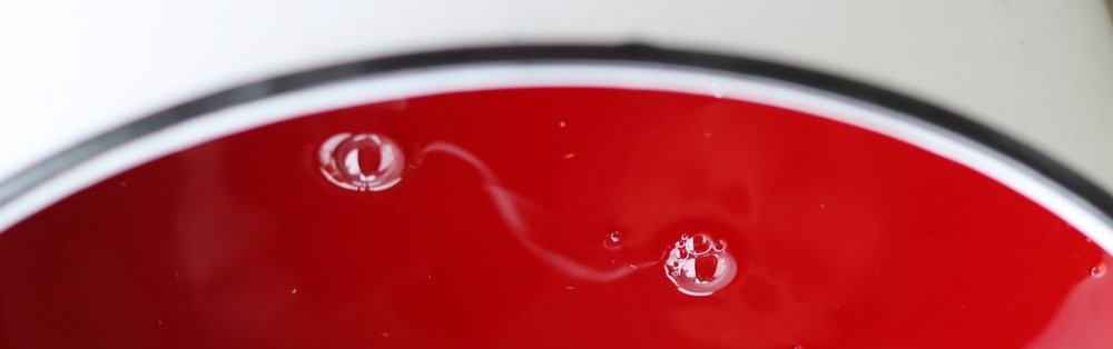 Safflower Soirée: A Guide to Growing, Dyeing, and Seed Saving — Grand ...