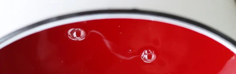 Safflower Soirée: A Guide to Growing, Dyeing, and Seed Saving — Grand ...