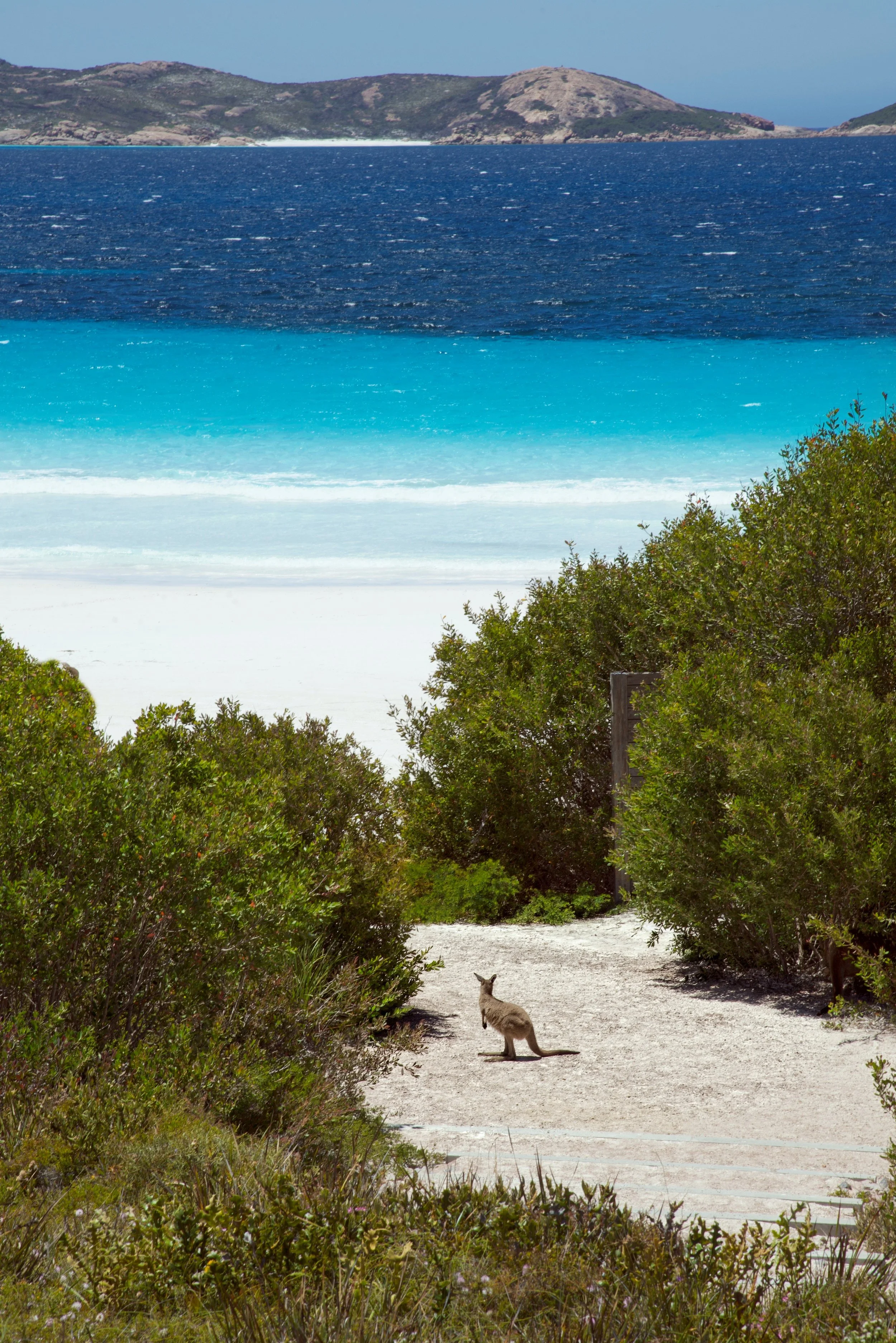 Windy Path Down To Beach