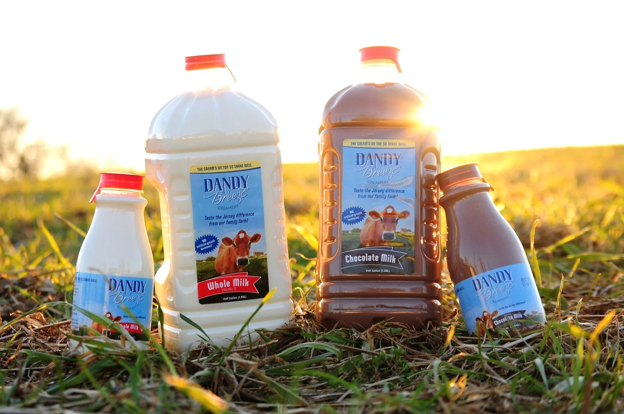 Dandy Breeze Creamery