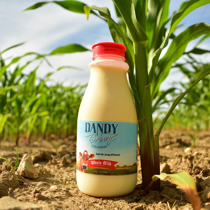 Purchase — Dandy Breeze Creamery