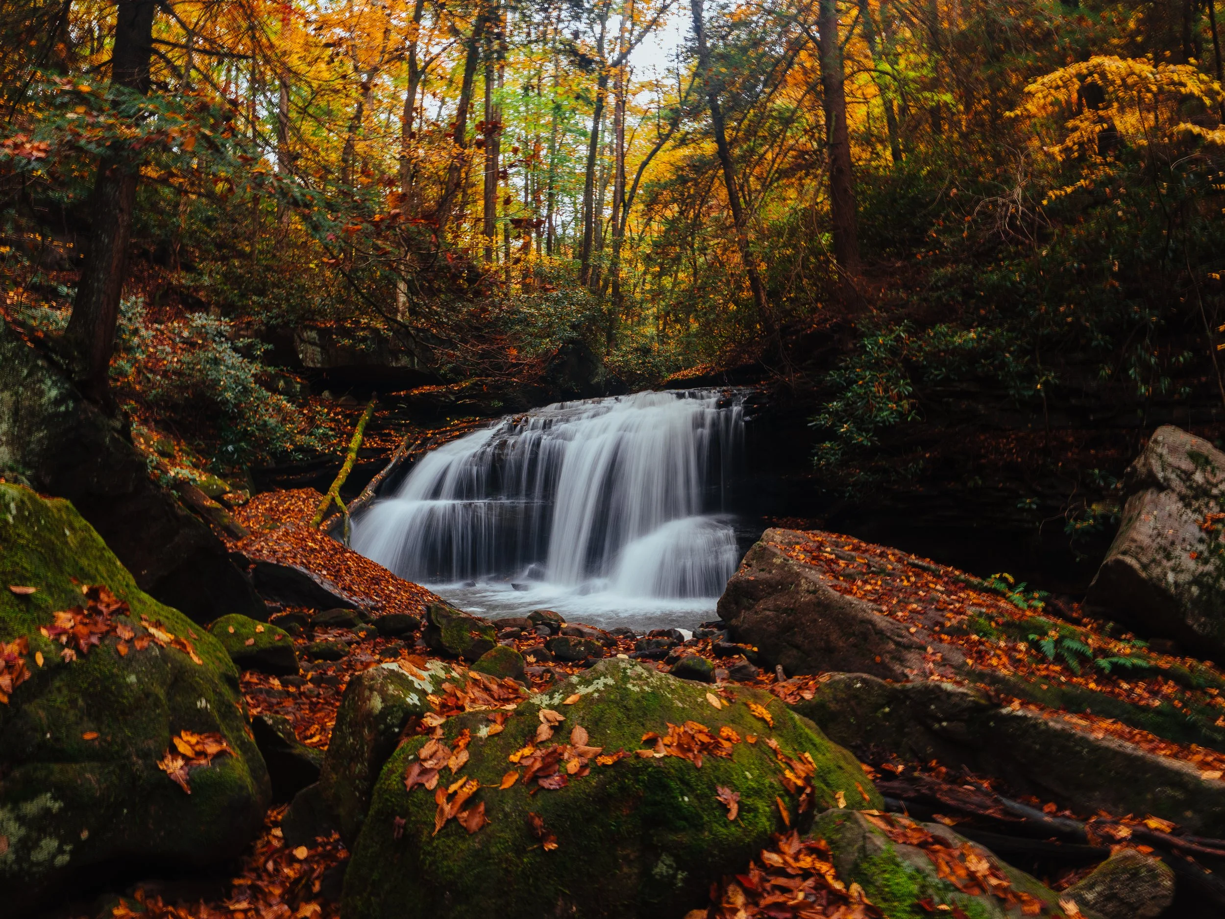 Jared Murphy Photography