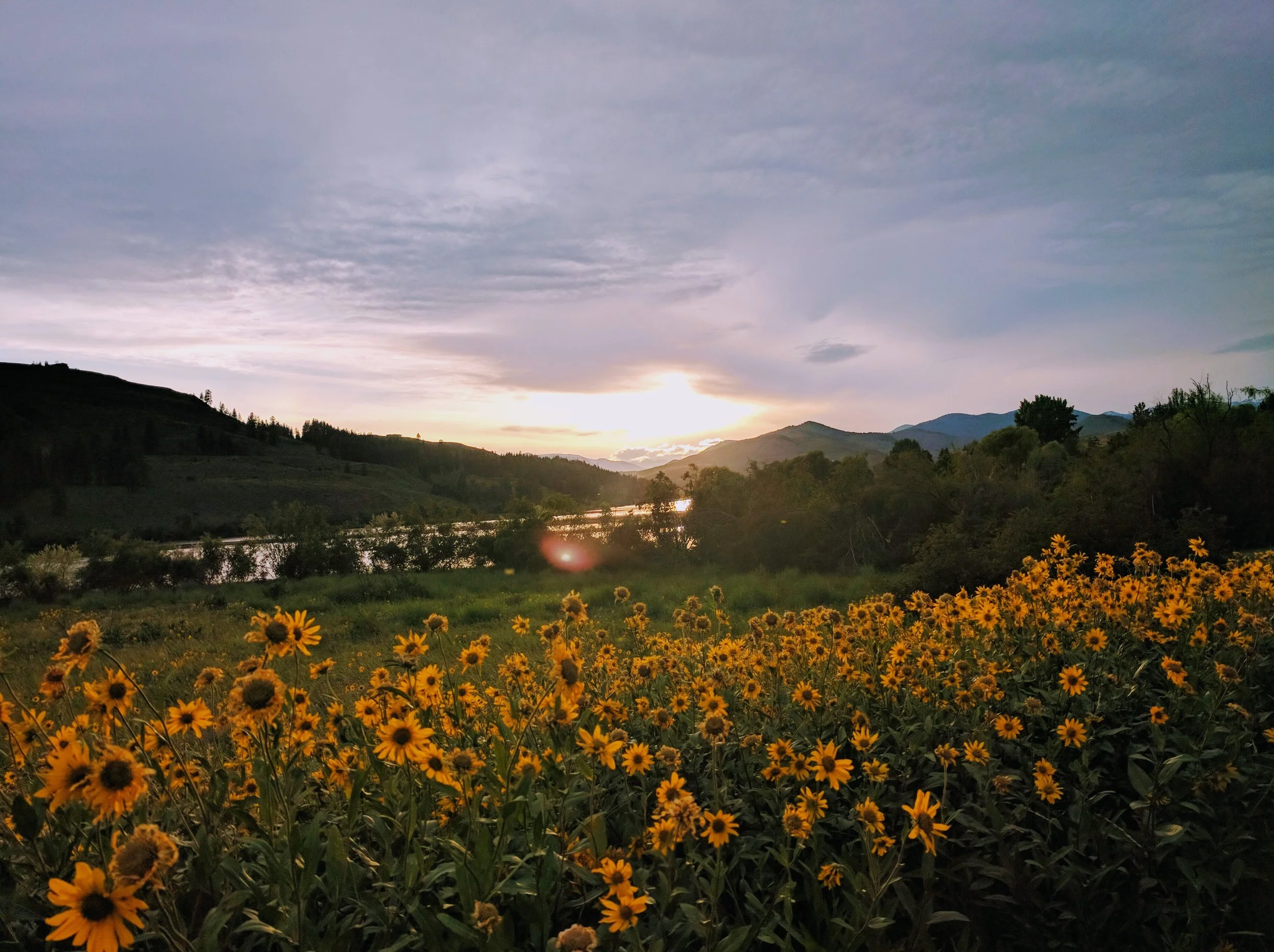 NCAS Campout at Pearrygin Lake State Park — North Cascades Audubon Society