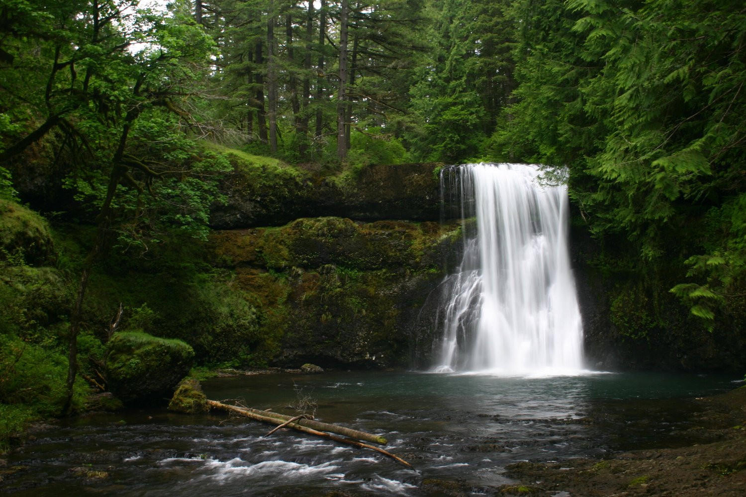 Are Dogs Allowed At Silver Falls State Park