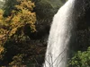Hiking and Park Information — Friends of Silver Falls