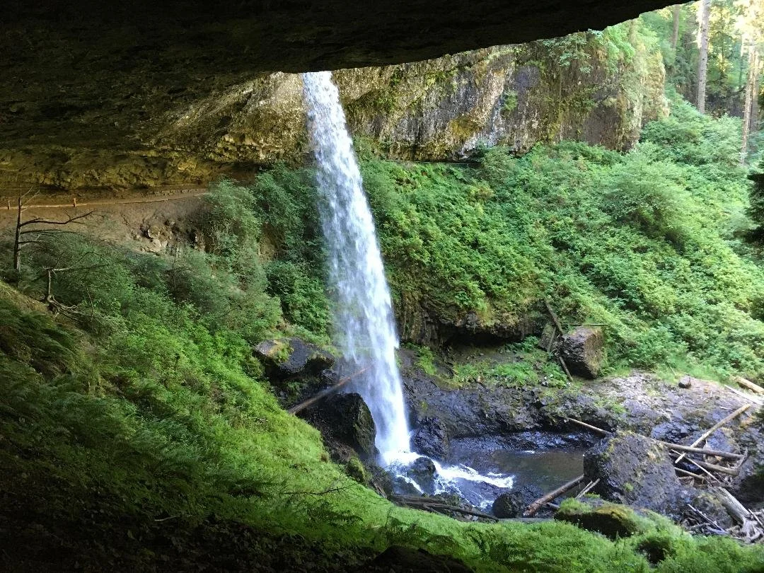 1 hour waterfall hikes — Friends of Silver Falls