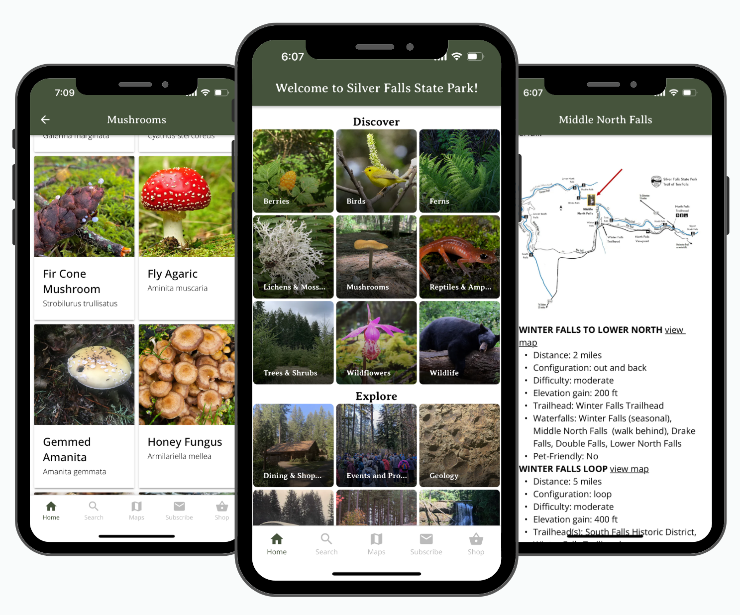 app — Friends of Silver Falls