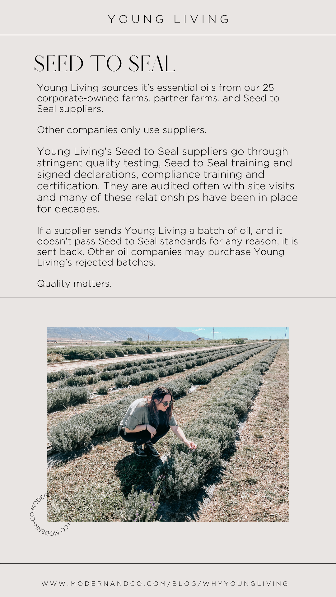 Why Young Living — Modern+Co