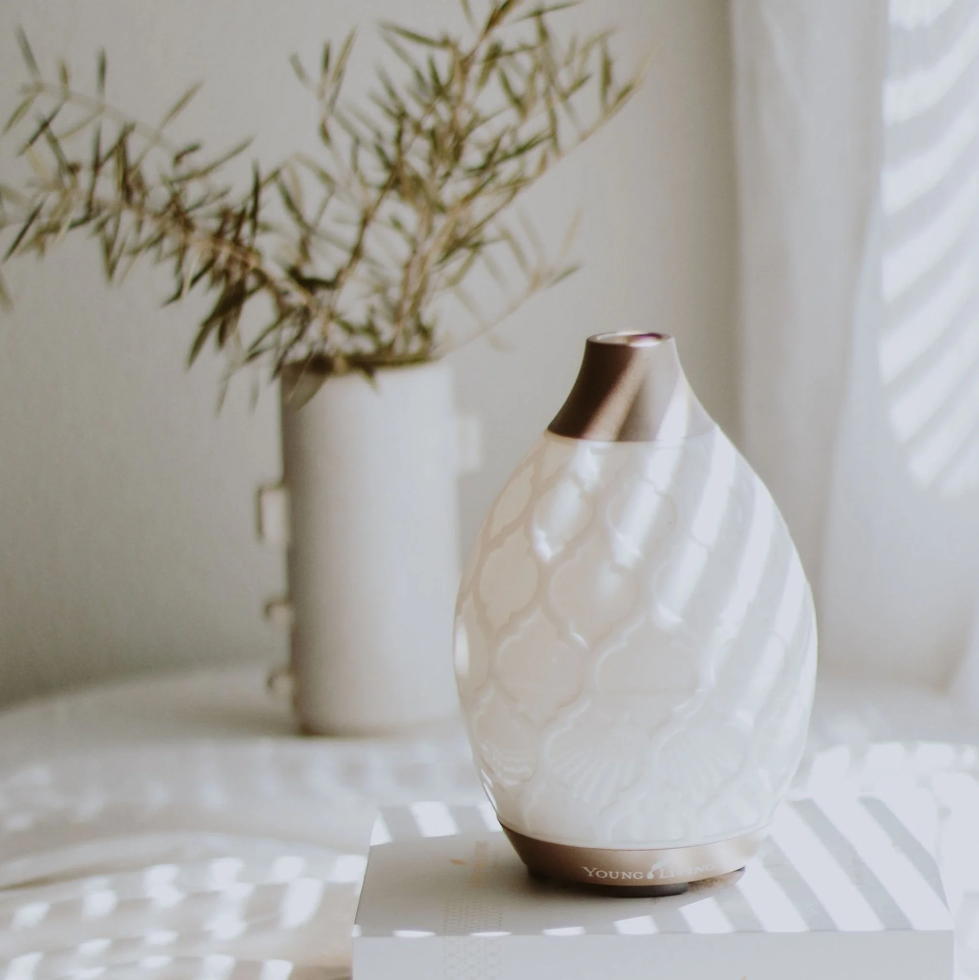 Starter Bundles — Modern+Co