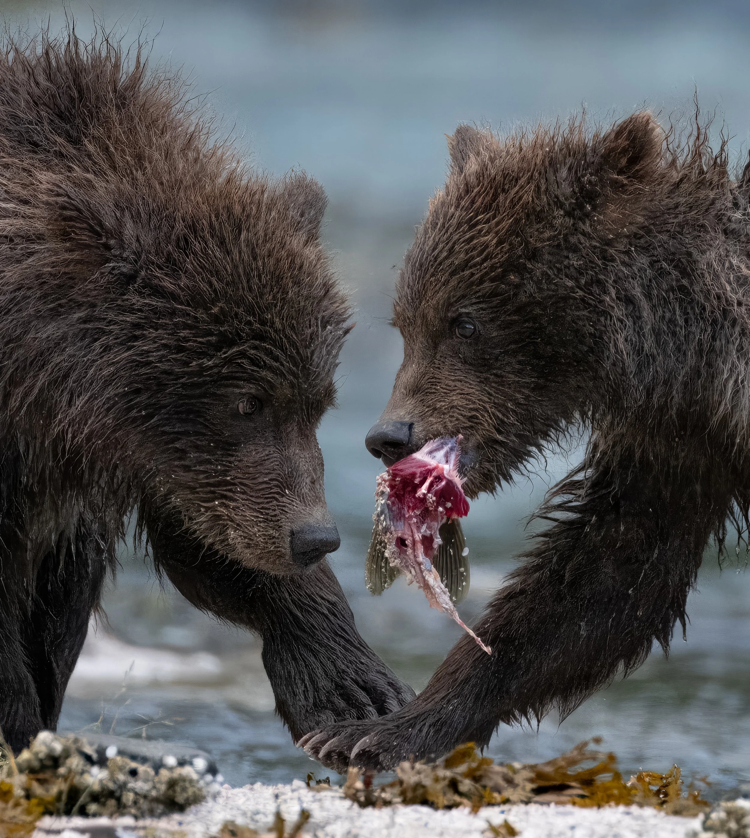 Mark Schumann Photography