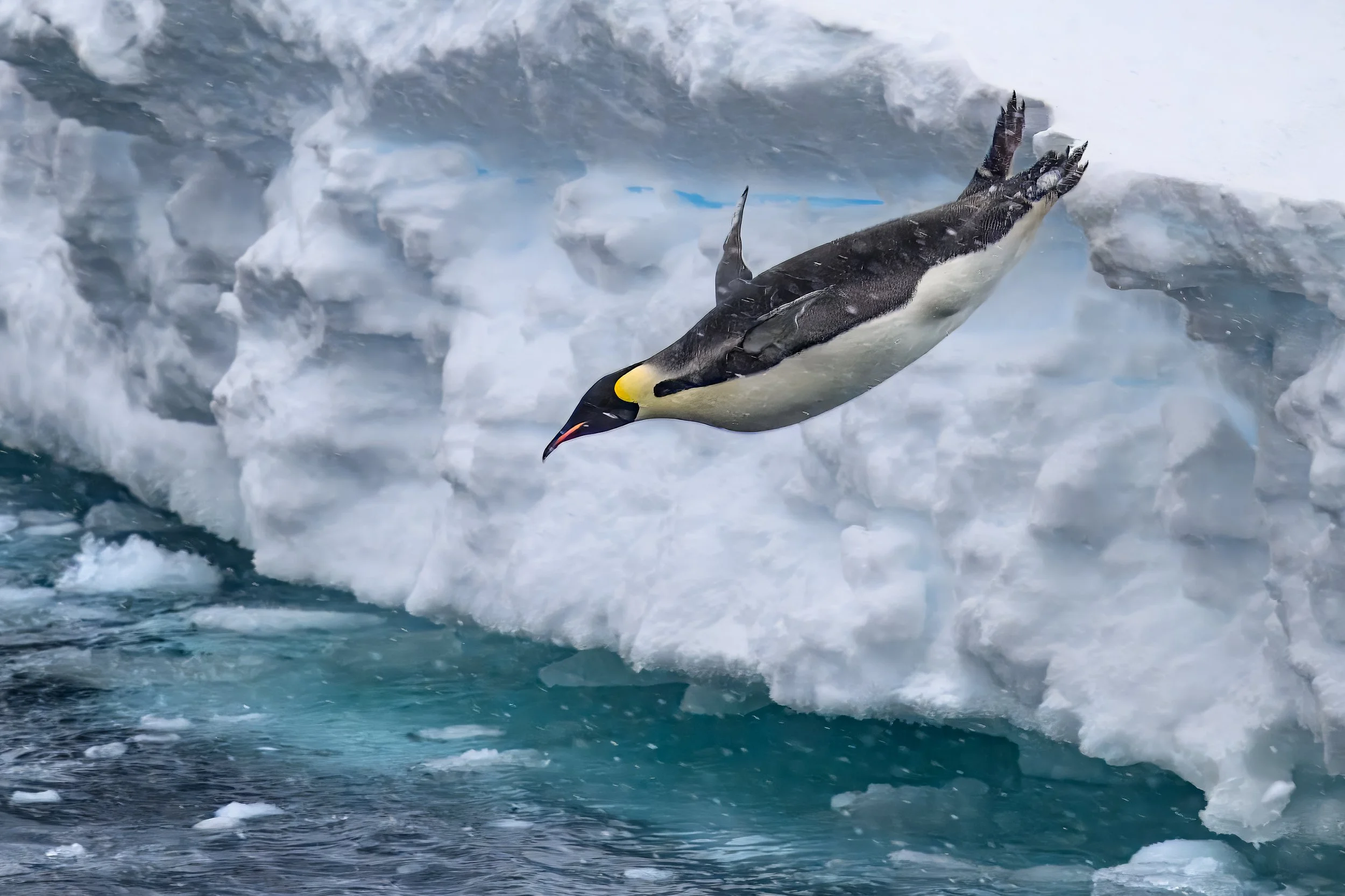 Mark Schumann Photography