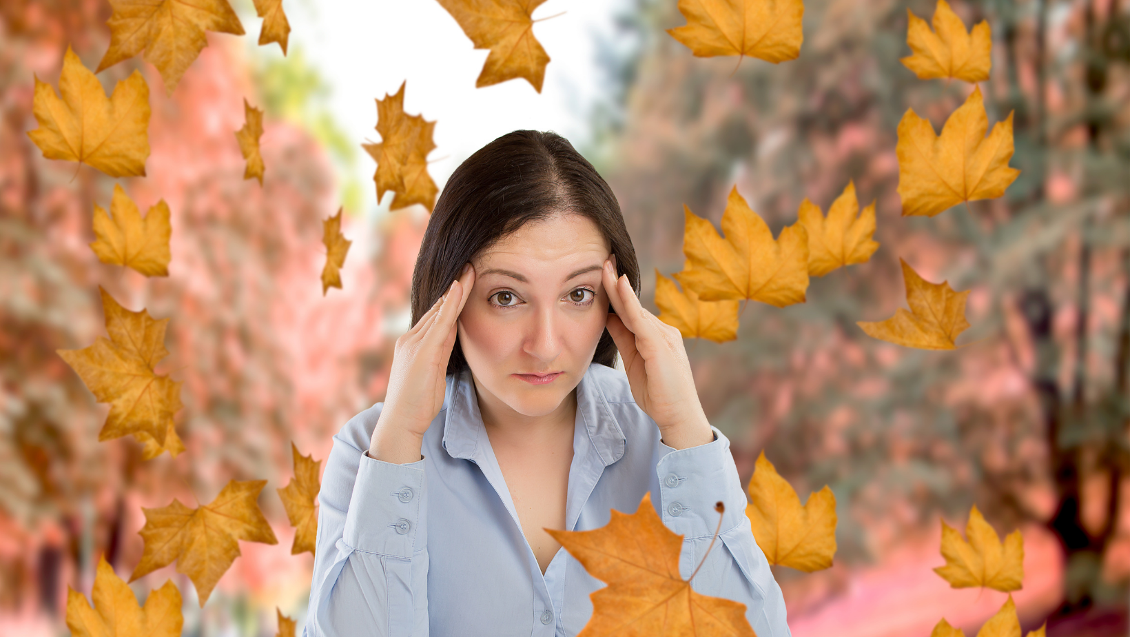 How to help your child survive and thrive! — MagiKats Maths and English
