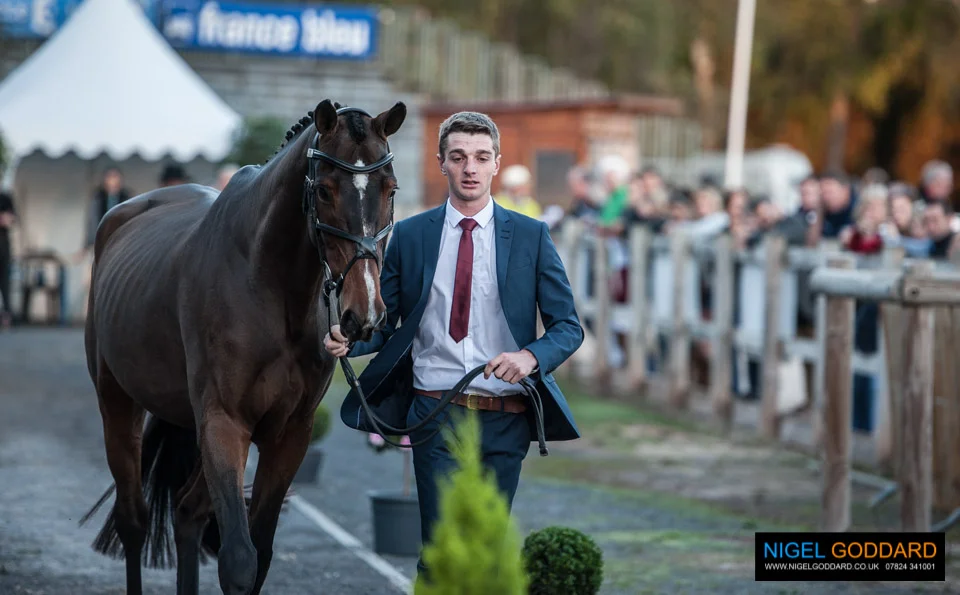 Becoming An Owner — Tom Jackson Eventing