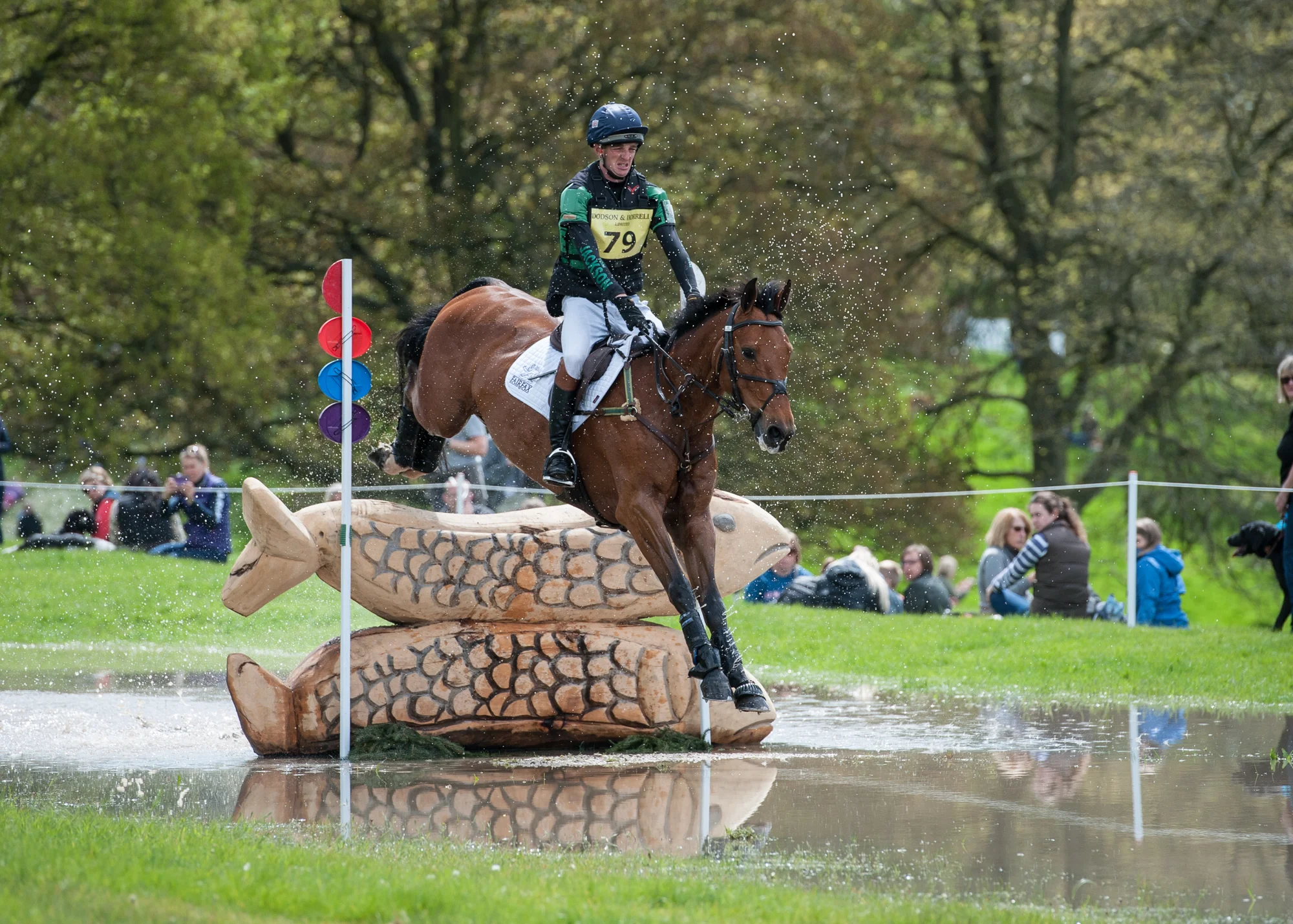 Gallery — Tom Jackson Eventing