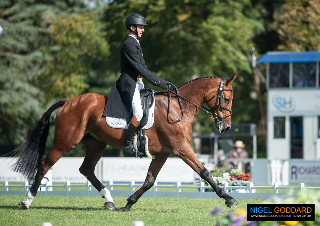 Gallery — Tom Jackson Eventing