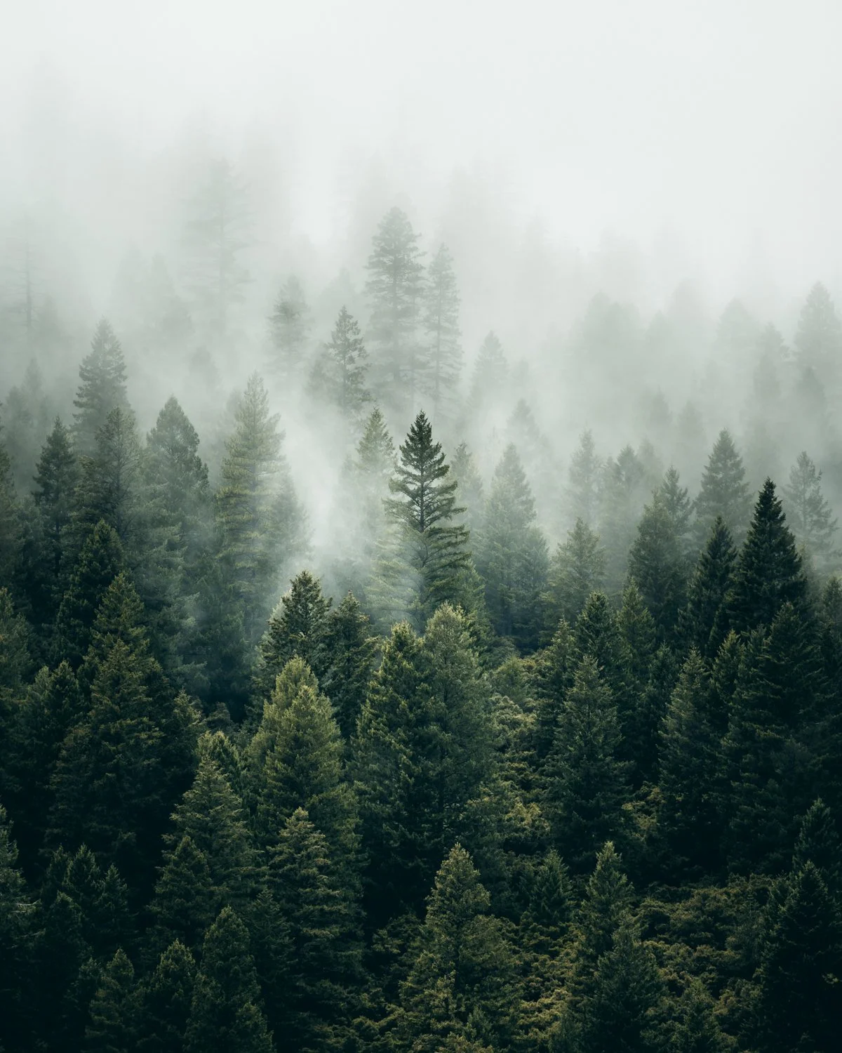 Prints — Scott Kranz Photography