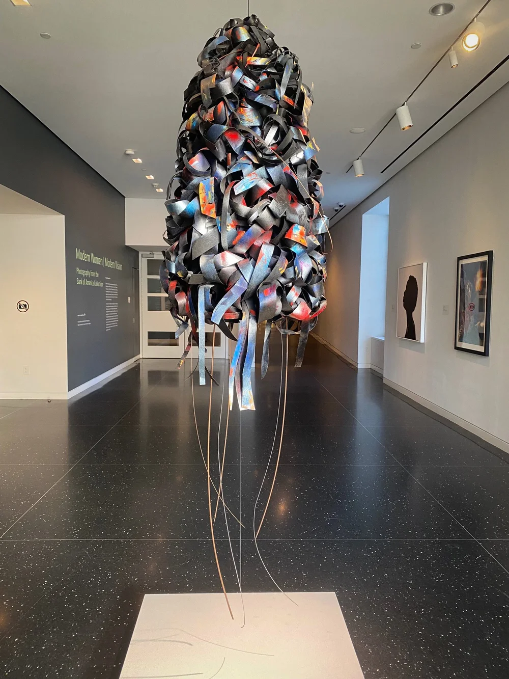 Exhibitions — Sharon Barnes