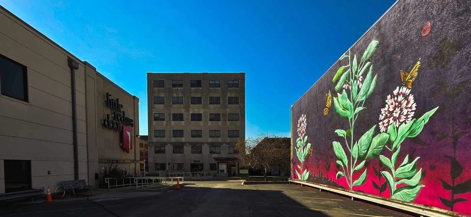 Discover Megan Jefferson's Latest Mural — Harrison Center