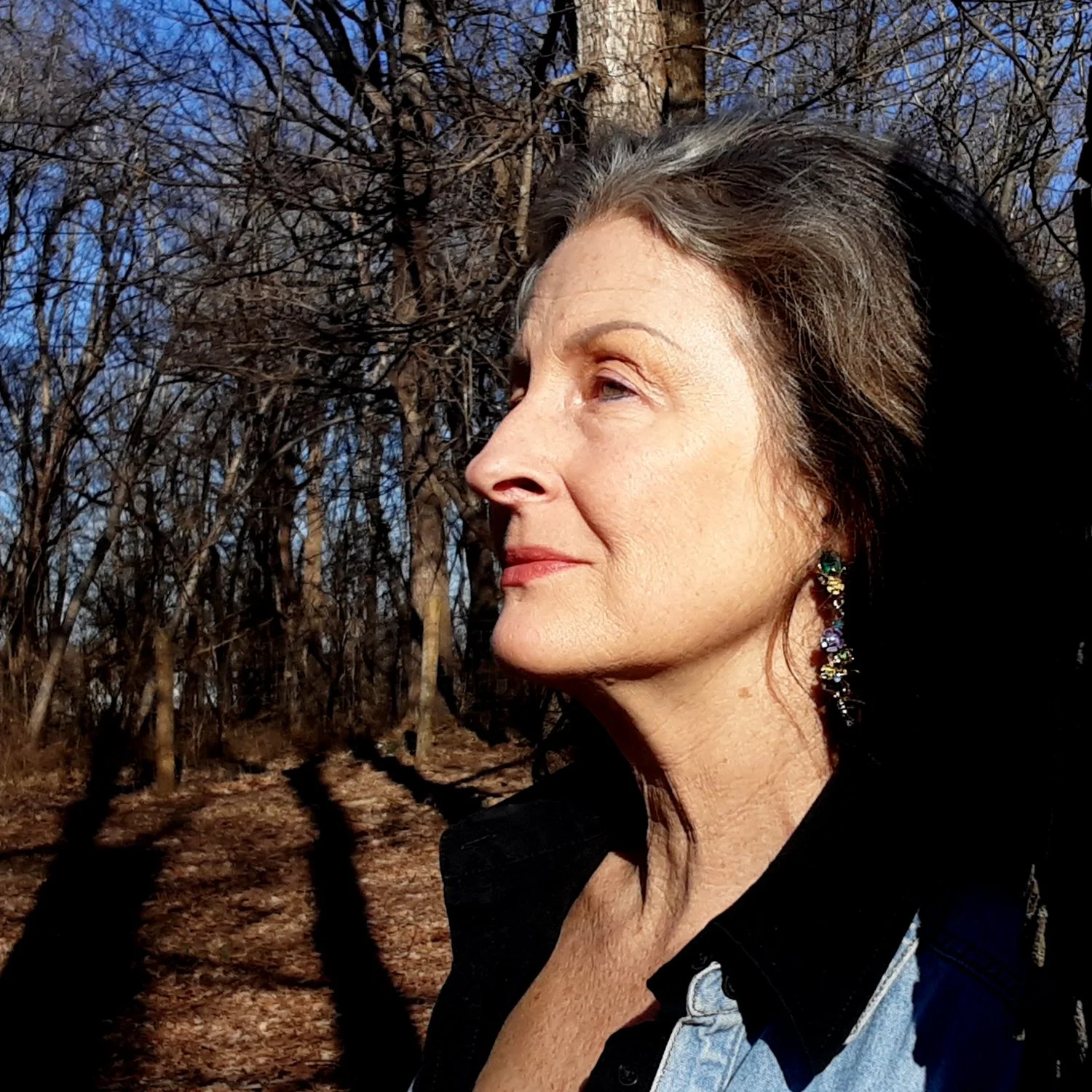 About/Press/Events — Studio D'Argo