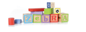 Zebra Centre — Scona Initiative