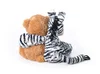 Zebra Centre — Scona Initiative