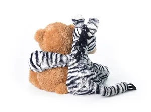 Zebra Centre — Scona Initiative