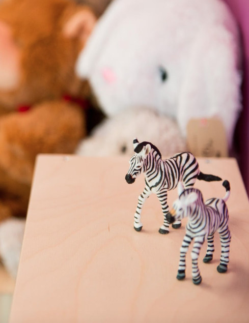 Zebra Centre — Scona Initiative