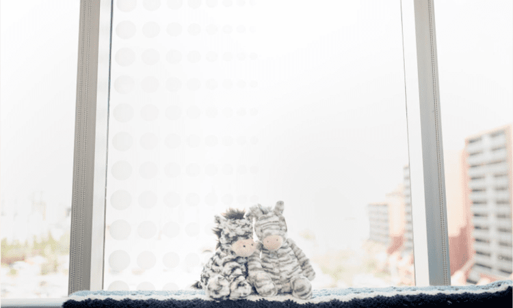 Zebra Centre — Scona Initiative