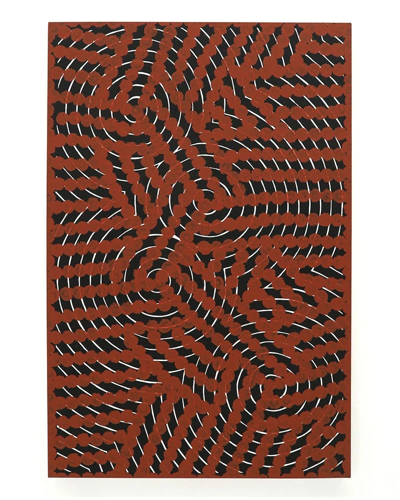 Otis Hope Carey Gumbaynggirr Bundjalung First Nations contemporary ...