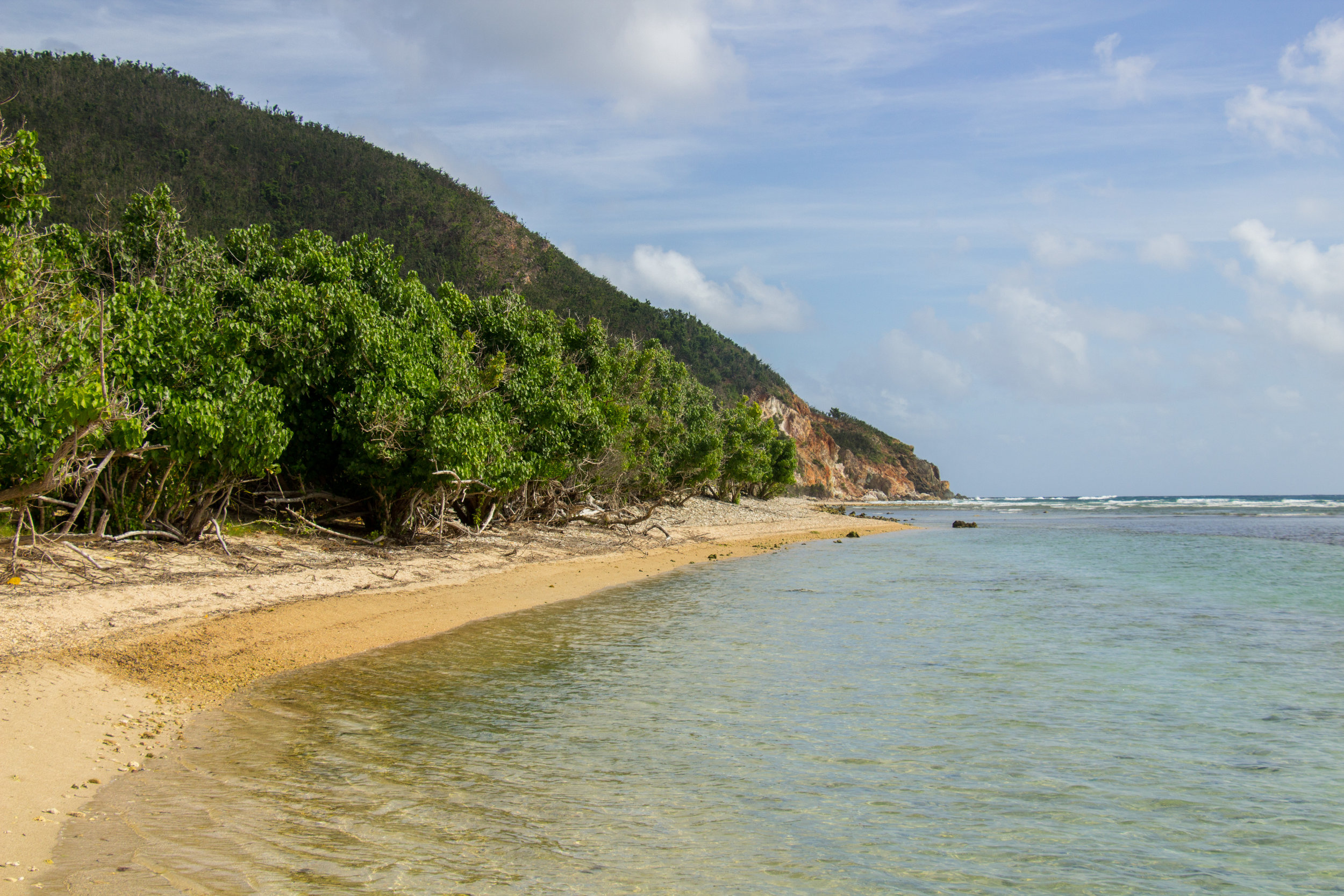 Best Hiking on St John: Reef Bay Trail — Cody Updike