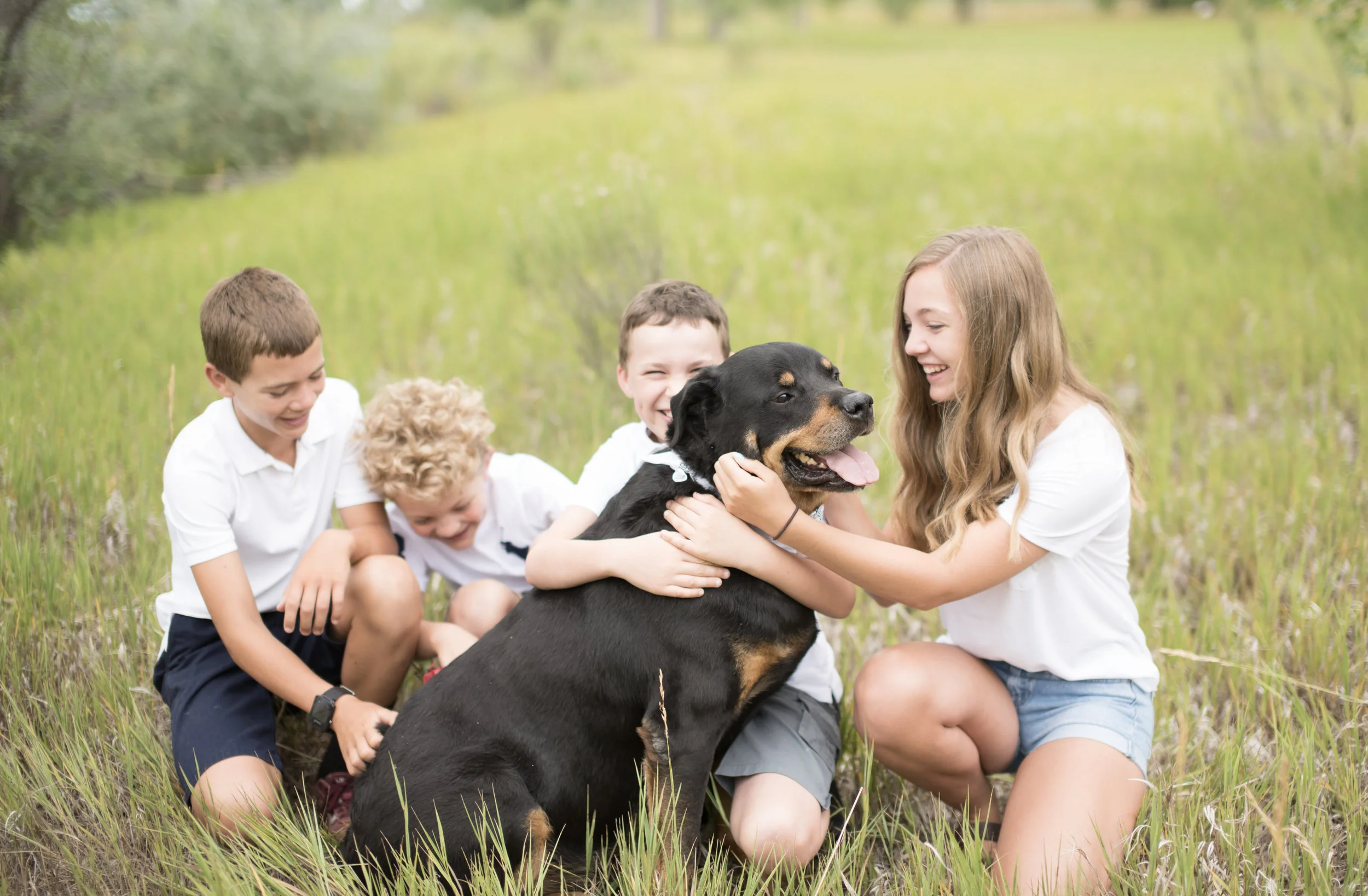 For the Love of Ike--Family Portraits, Fort Collins, CO — Jennifer ...