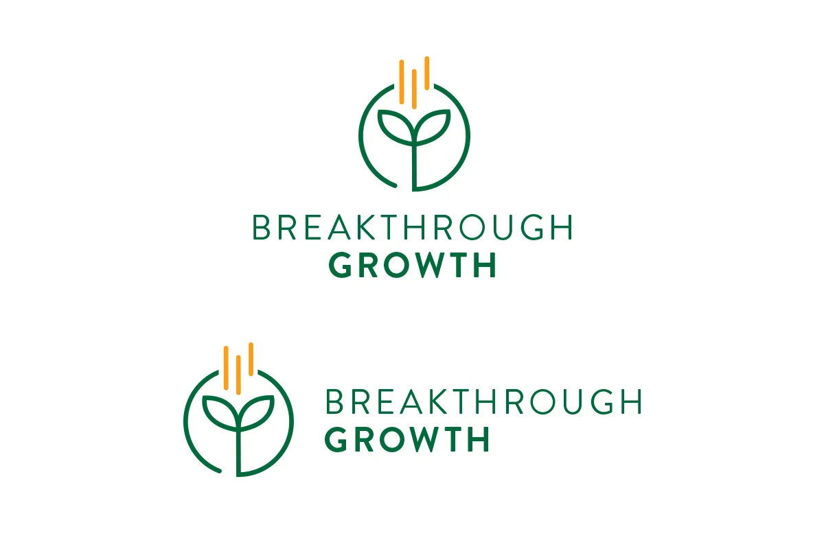 Breakthrough Growth — Millei Designs