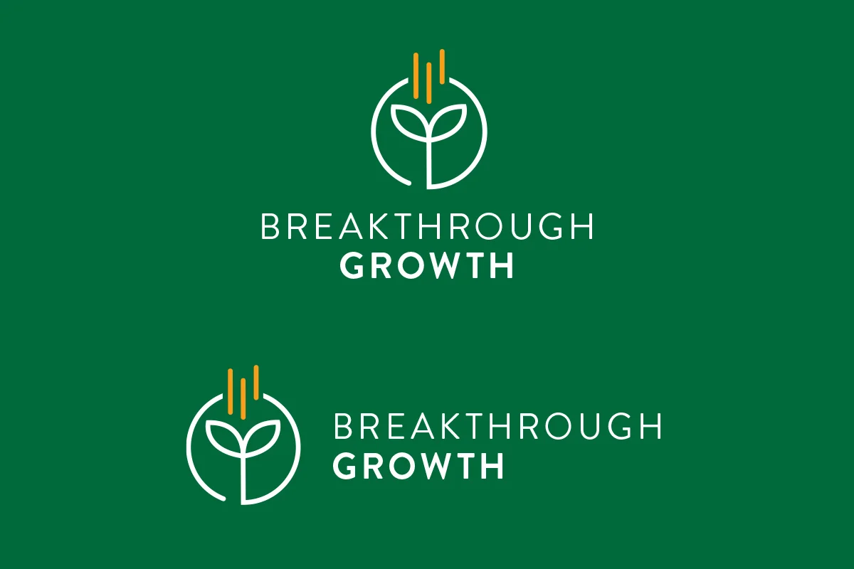 Breakthrough Growth — Millei Designs