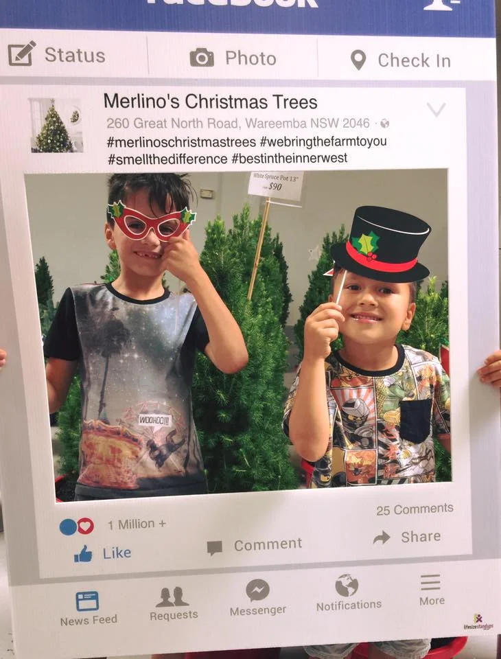 Merlino's Christmas Trees