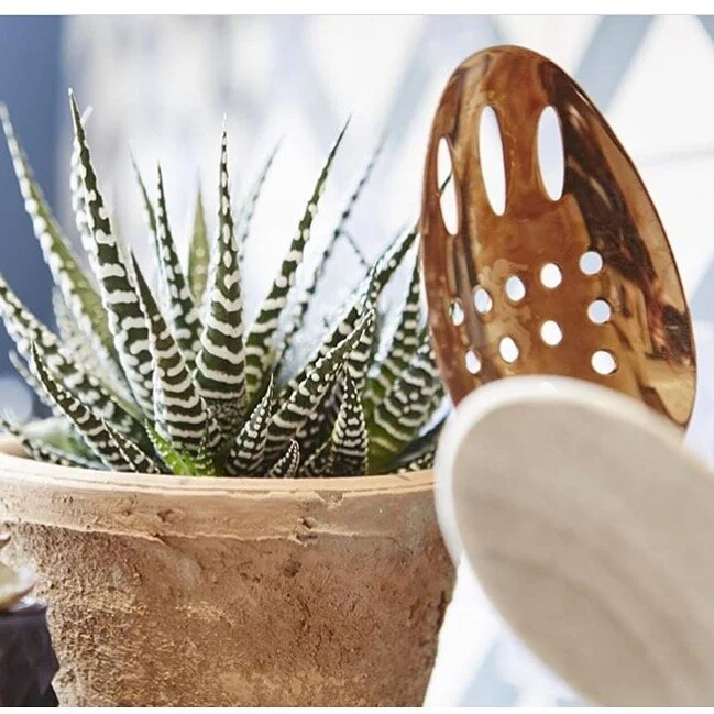 Ellie Horwell Roche — JADE LOVEJOY