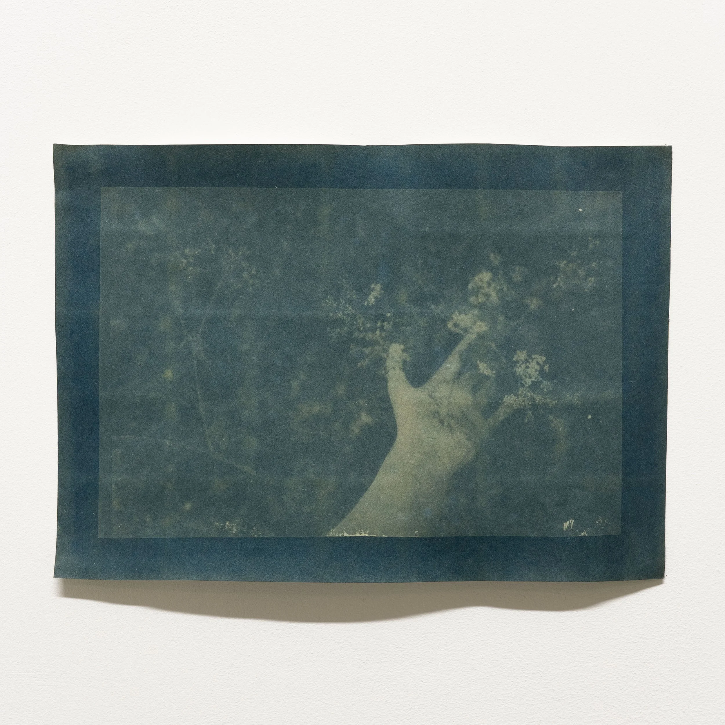 Shop — Hayley Harrison