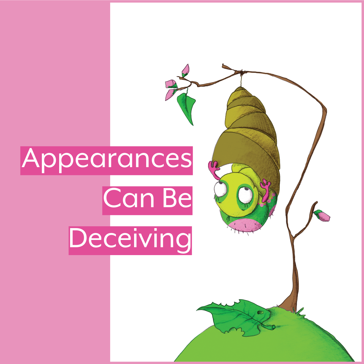 Appearances Can Be Deceiving Worksheets — Shelf Space Books