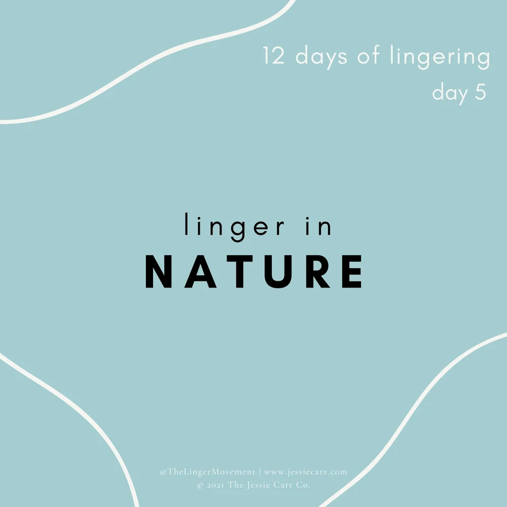 12 Days of Lingering — The Linger Movement