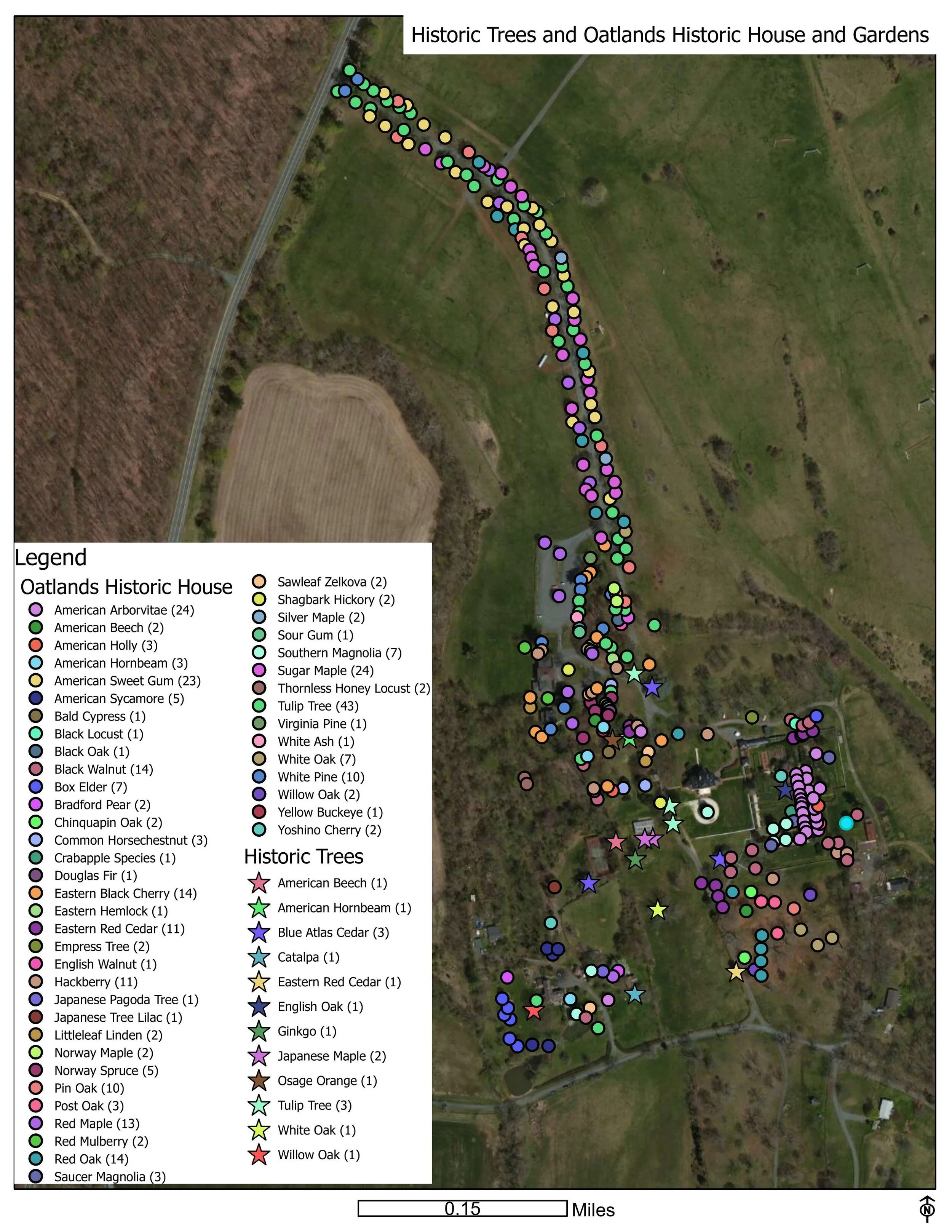 Tree Inventory Maps & Maintenance Plans | Donegan