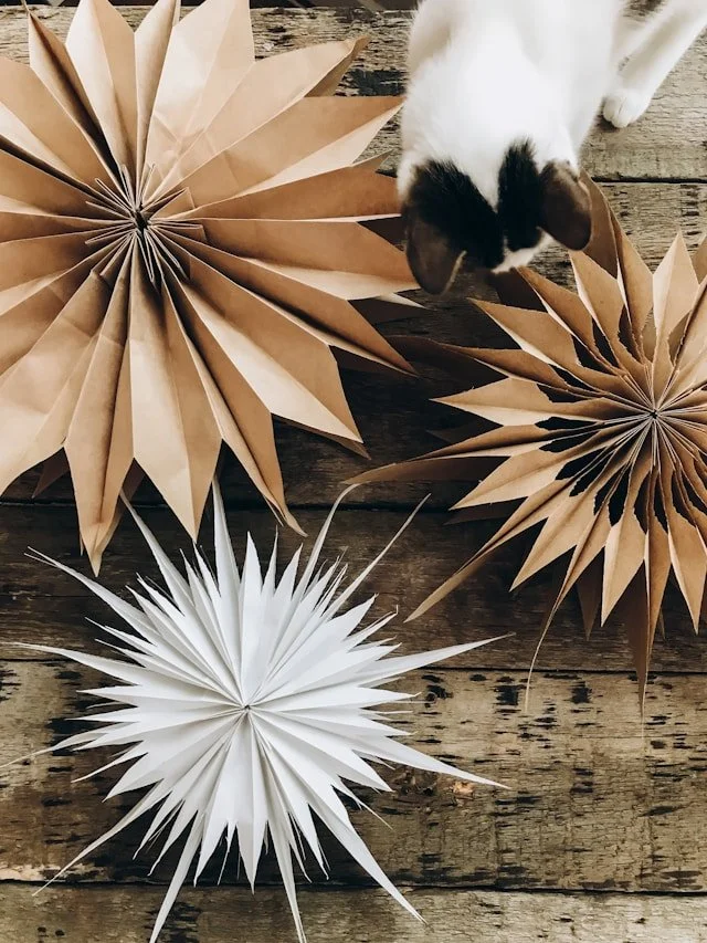 Paper Stars That Catch the Light — Dr. Tasha Holland-Kornegay, LPCS