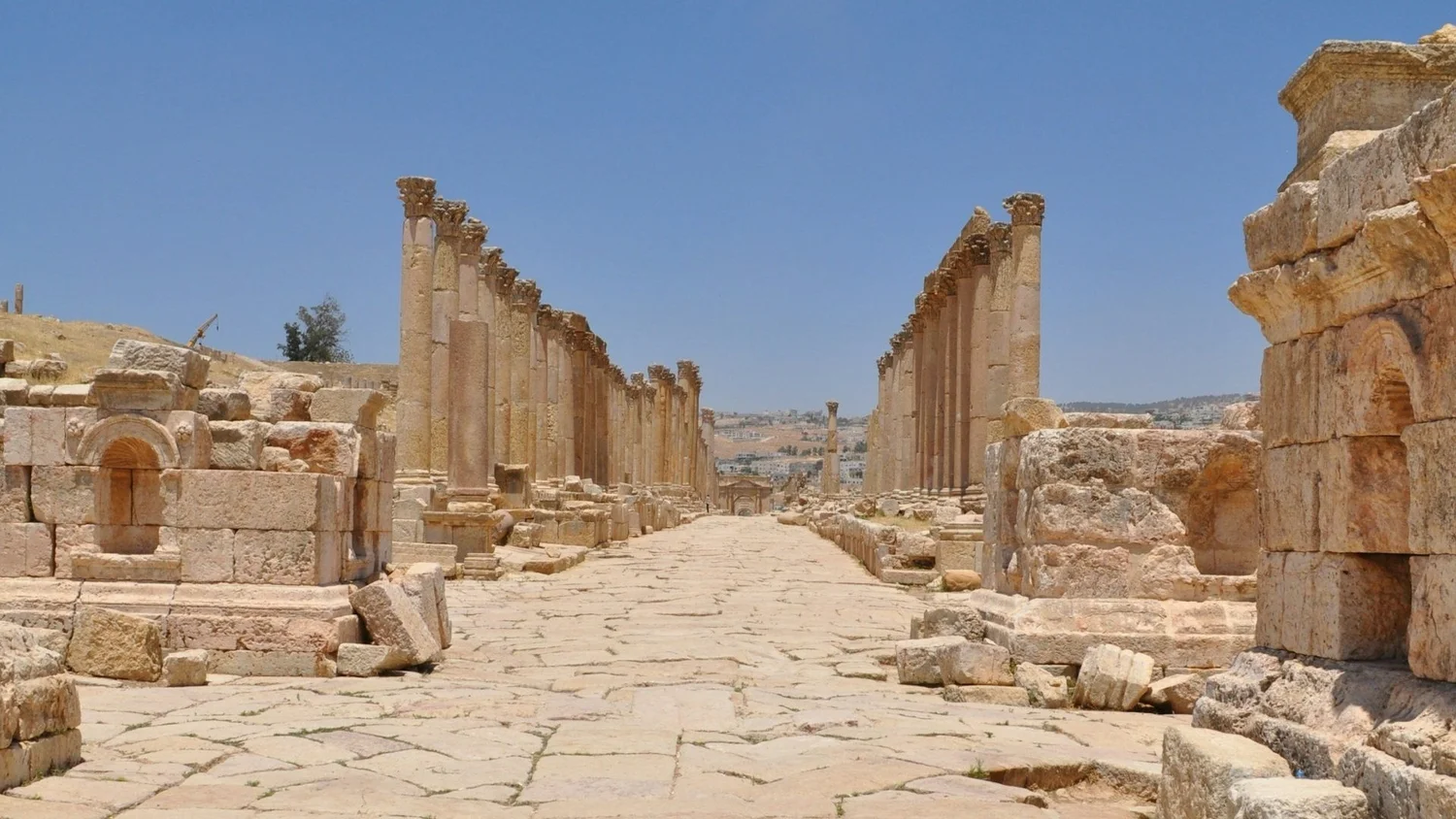 PODCAST – Walking the Text | Brad Gray
