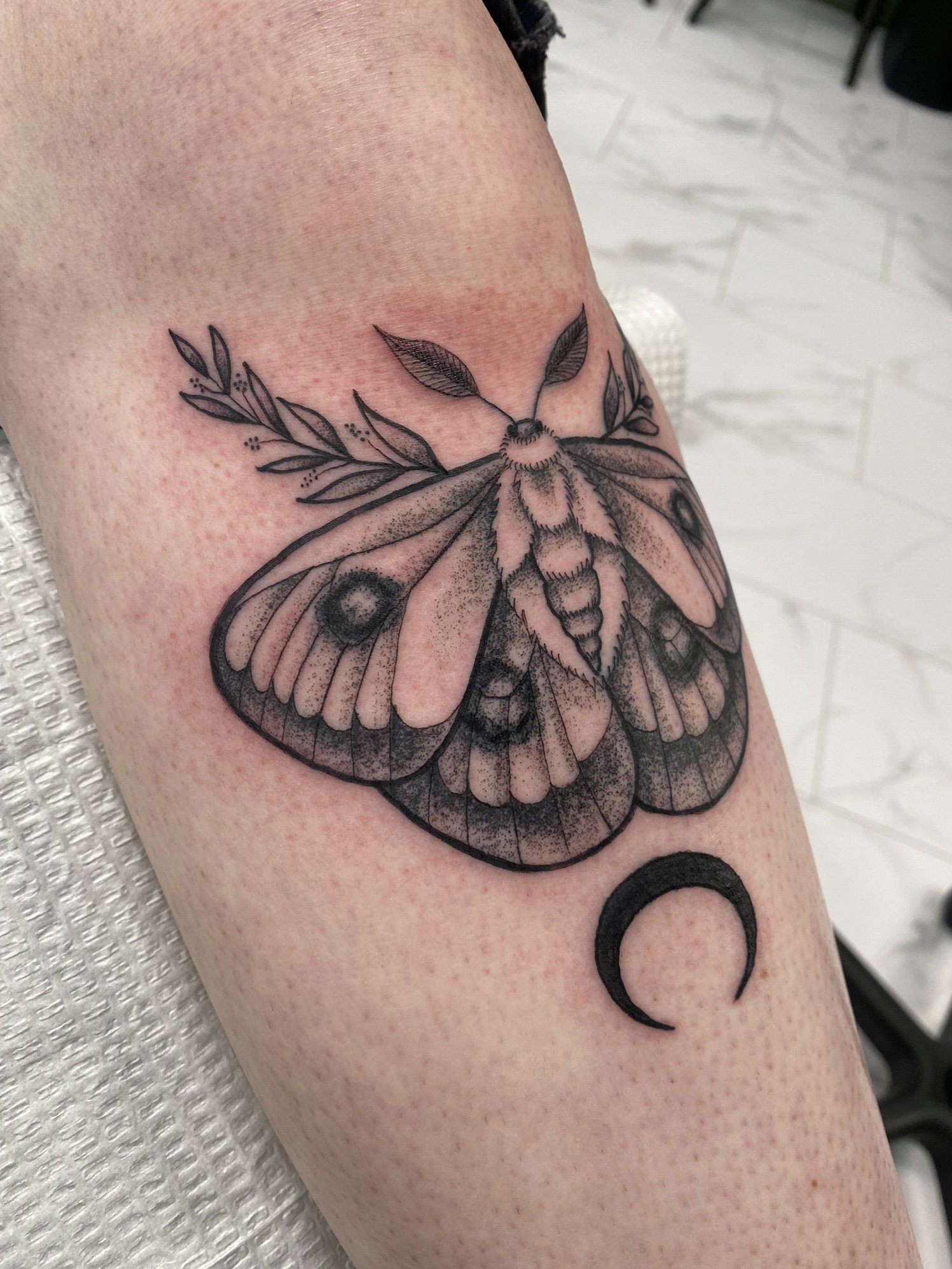 Timeless Body Art Downtown Colorado Springs — Timeless Body Art