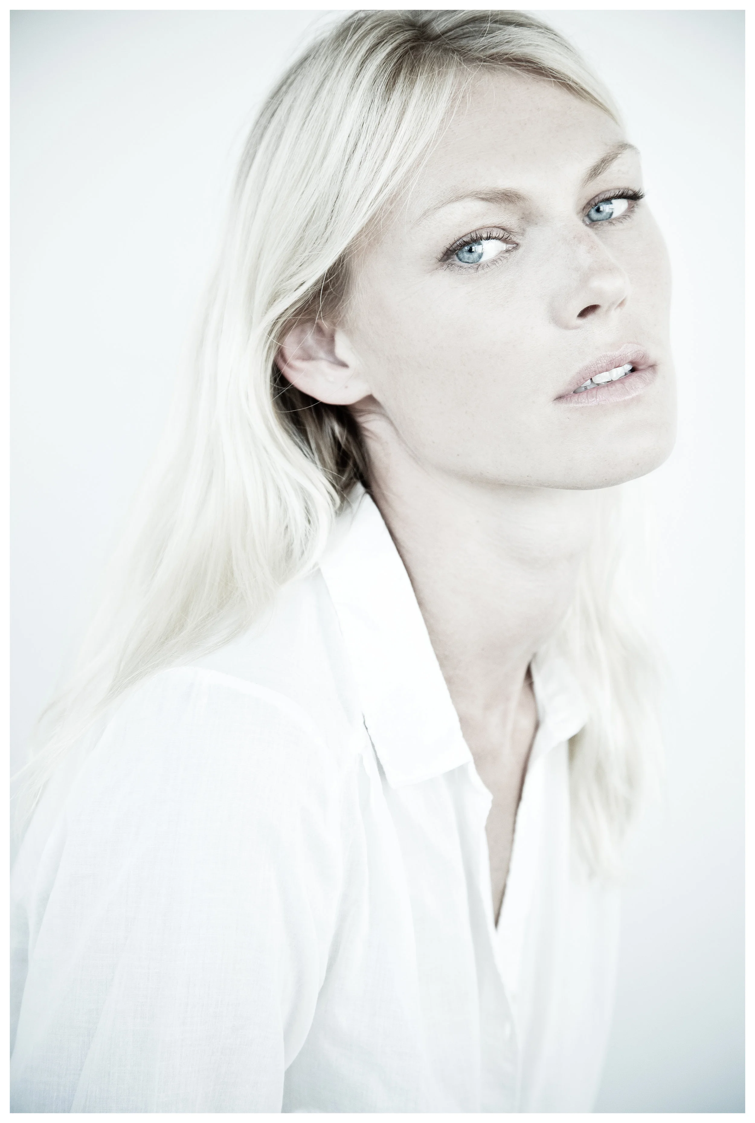 Shirley Mallmann - portfolio — The Model CoOp