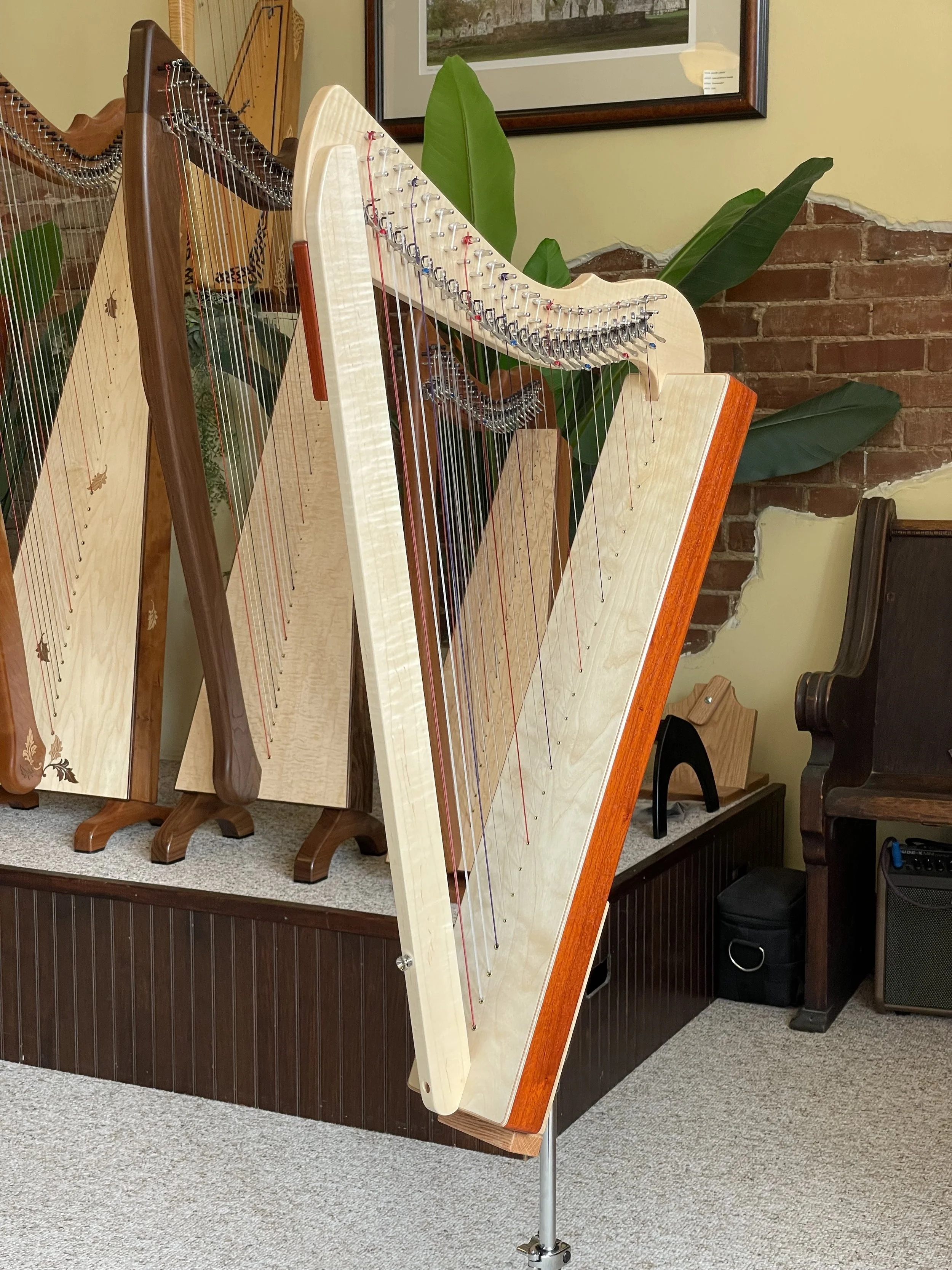 Limited Edition Fullsicle™ Harp - African Padauk and Curly Maple Combo — Harpsicle® Harps