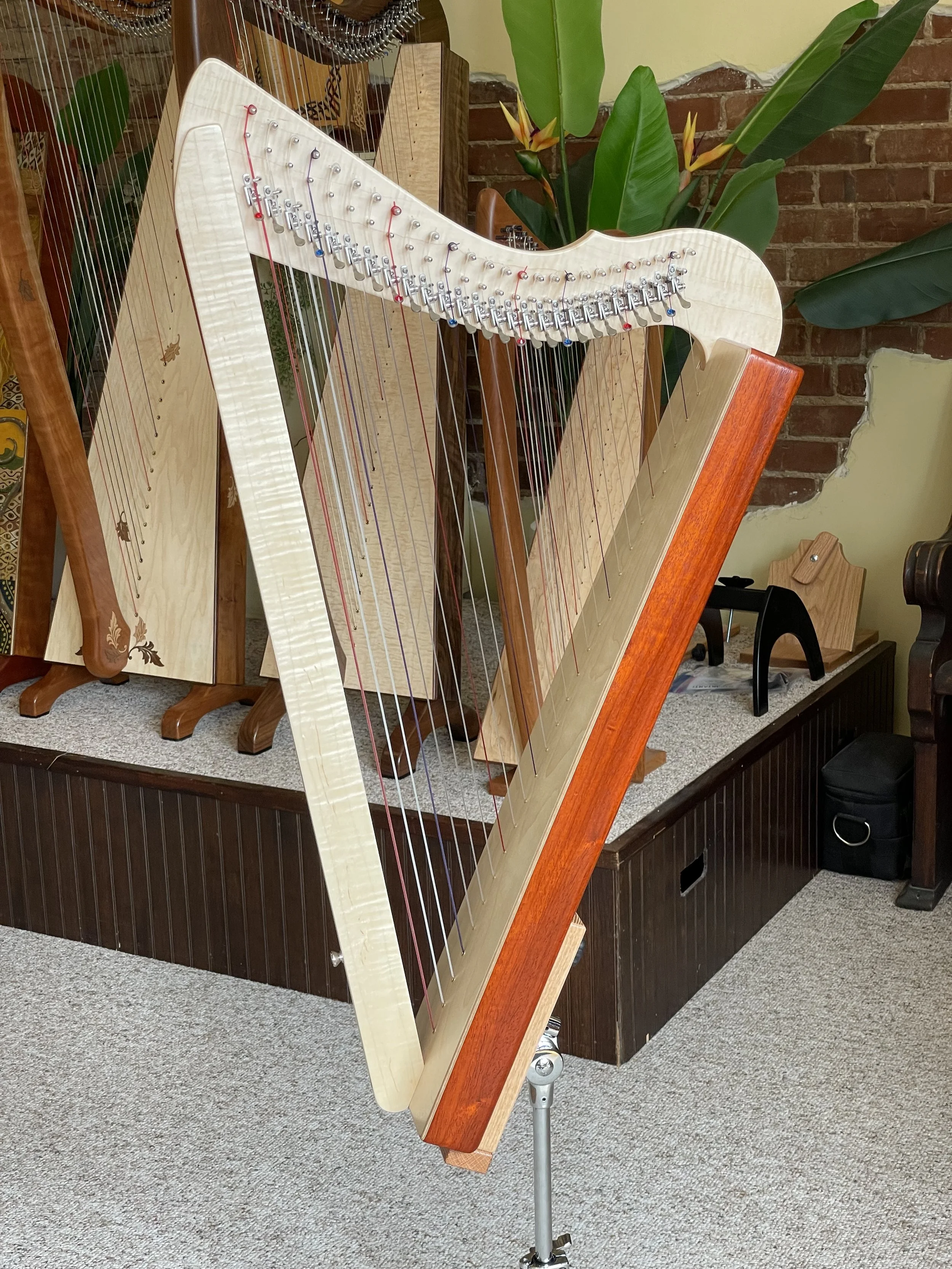 Limited Edition Fullsicle™ Harp - African Padauk and Curly Maple Combo — Harpsicle® Harps